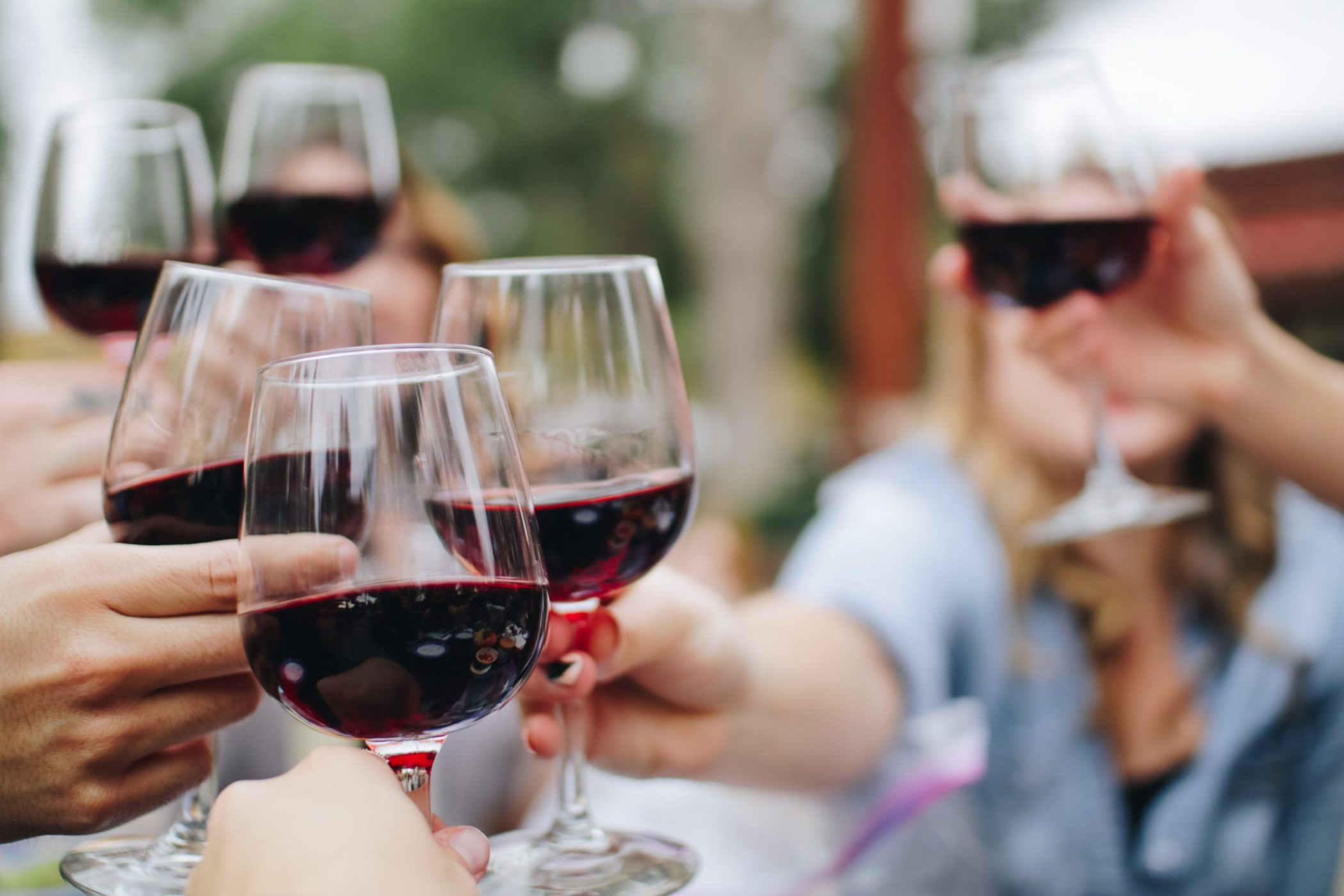 Jack Rabbit Winery - Long Leisurely Lunch | Port Phillip Ferries